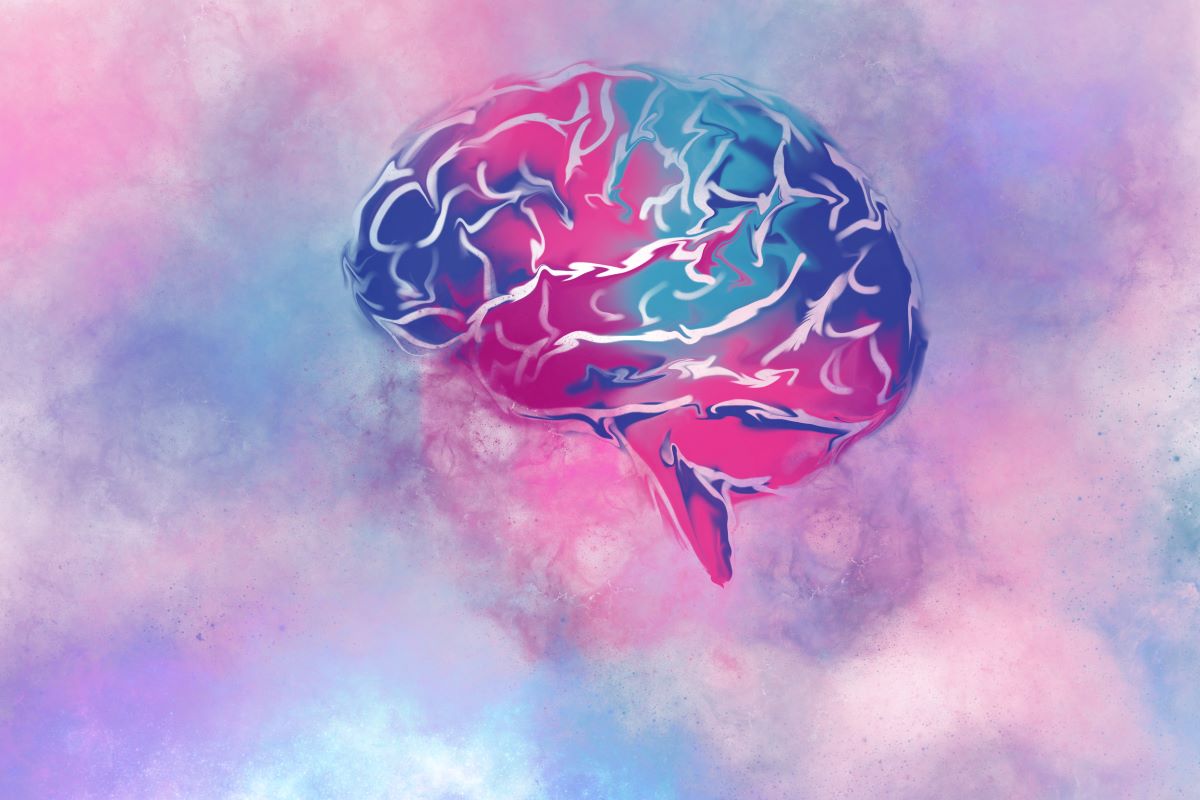 12 Questions To Ask Yourself and Your Doctor To Maintain Brain Health