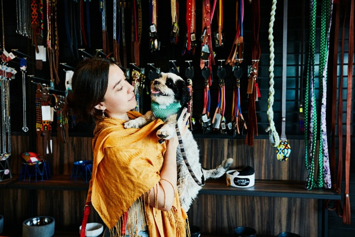 How to Open a Pet Store | Square