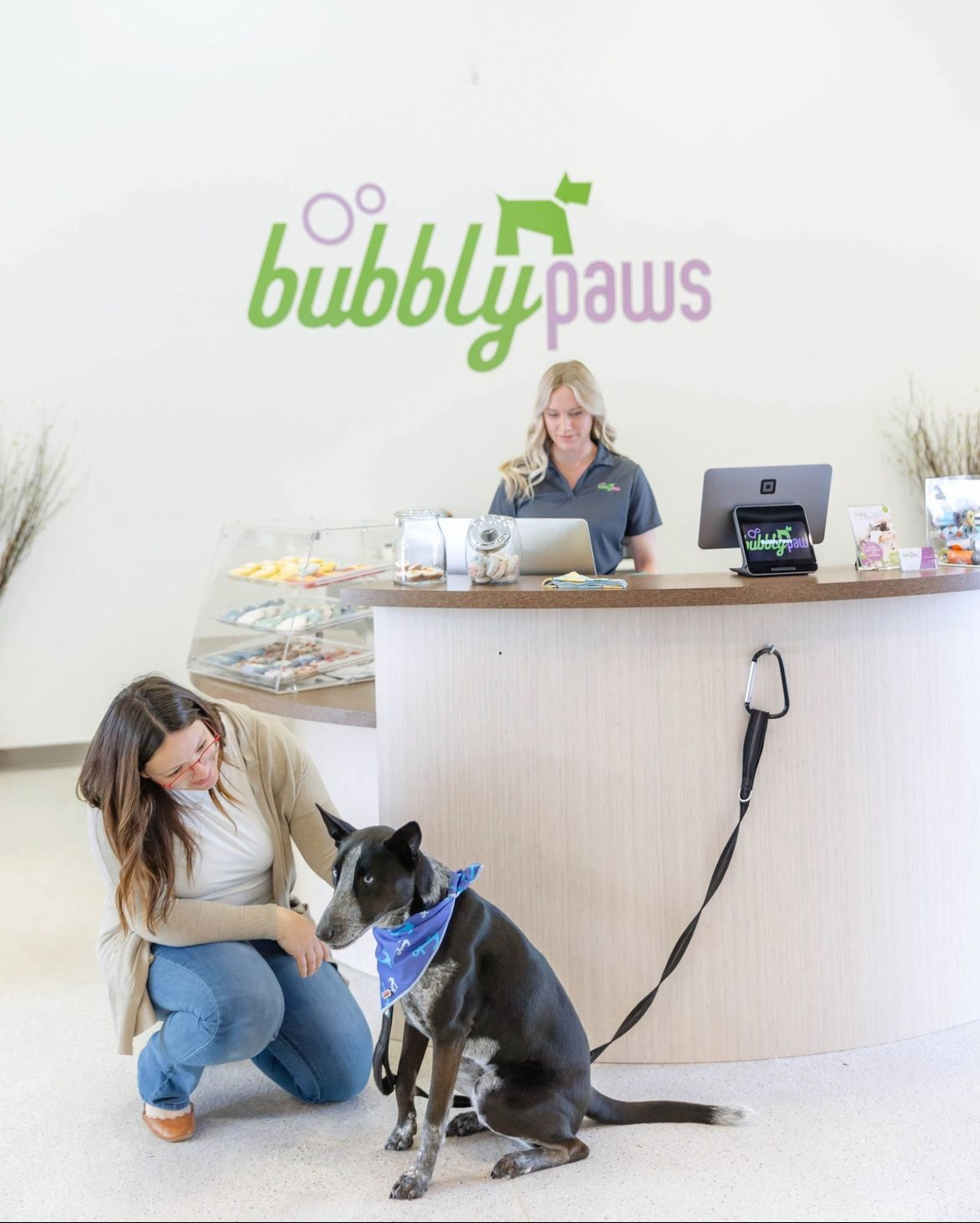 How Bubbly Paws Franchised 10+ Locations With an Ecosystem | Square